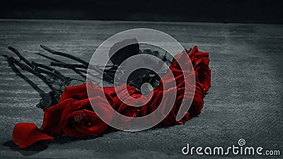Red Roses Dropped and Stepped on in Black & White Stock Footage - Video ...