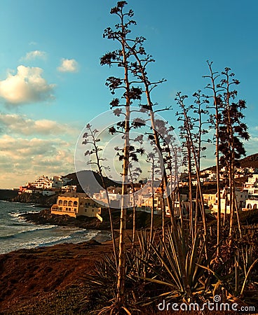 Fan shadow stock photo. Image of castanets, shadow, sound - 745212