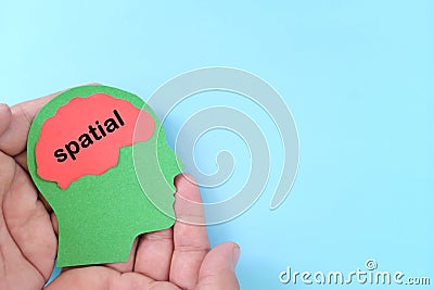 Spatial Intelligence In Psychology Concept. Hand Holding Human Head ...