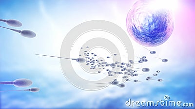 Human Sperm Under the Microscope at Petri Dish with Many Spermatozoa ...