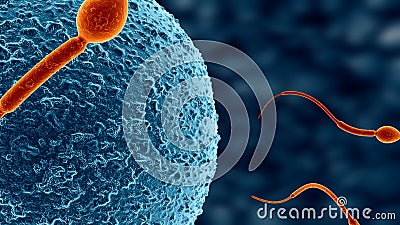 Spermatozoa stock video. Video of anatomy, birth, orgasm - 71169151