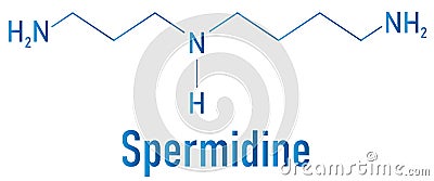 Spermidine Polyamine Compound Molecule. Skeletal Chemical Formula ...