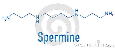 Spermine Molecule. Skeletal Formula. Polyamine Involved In Cellular ...
