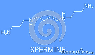 Spermine Molecule. Skeletal Formula. Polyamine Involved In Cellular ...