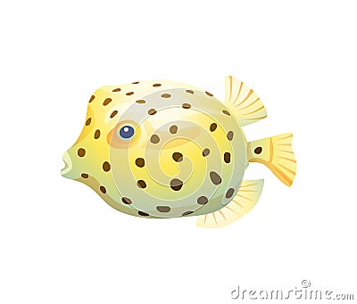 Spherical Boxfish Isolated On White Background Cartoon Vector ...