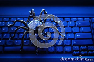Metal Spider On The Computer Keyboard, Virus, Theme Of Information ...