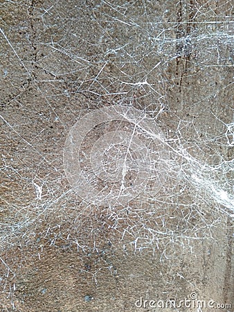 Spider Net Texture Stock Image | CartoonDealer.com #146789827