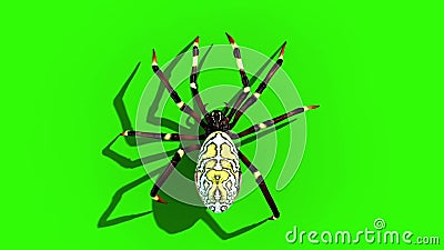 Spider Walk Cycle Green Screen Loop Top 3D Rendering Animation Metrajes ...