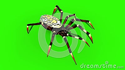 Spider Walkcycle Green Screen Loop 3D Rendering Animation Metrajes ...