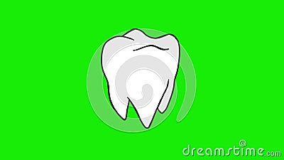 Spinning Tooth on Green Screen Animation Stock Footage - Video of ...