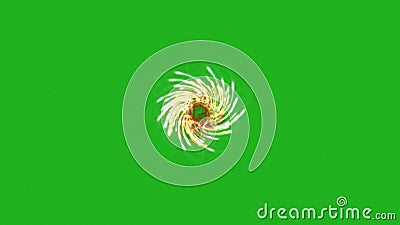 Spinning Wheel Green Screen Motion Graphics Stock Footage - Video of ...