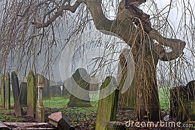 Spooky Old Cemetery Tree On A Foggy Day Royalty Free Stock Image ...