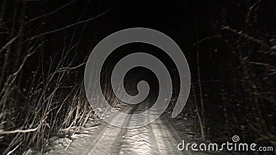 Spooky Winter Road in the Forest at Night. Stock Footage - Video of ...