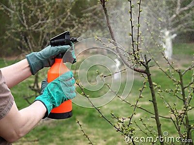 Spraying Plants With A Sprayer Royalty Free Stock Photography - Image ...