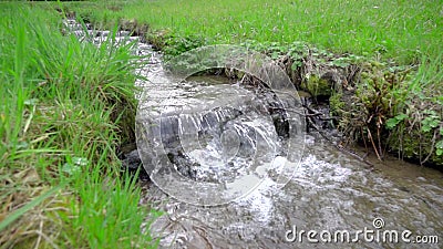 Spring Beautiful Nature, Stepped Stream of Fresh Clean Water Flows ...