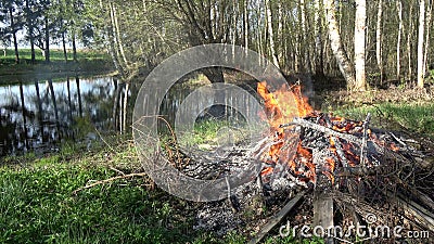 Spring Bonfire Campfire in Park Near Pond Stock Footage - Video of ...