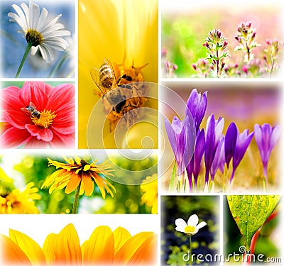 Spring Collage Royalty Free Stock Photography - Image: 17376107
