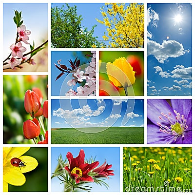 Spring Collage Stock Photography - Image: 19436782