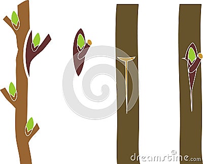 Spring Grafting Tree. Cartoon Vector | CartoonDealer.com #155337777