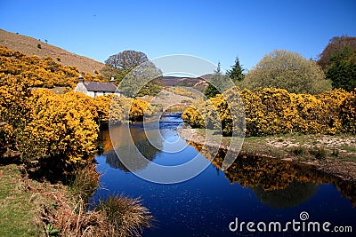Spring In Ireland Stock Photography - Image: 5185652