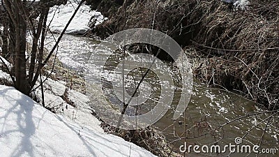 Spring Melting of Snow on the River, in April. Stock Video - Video of ...