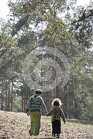 Spring In A Pine Forest With Brother Little Sister Holding Hands ...