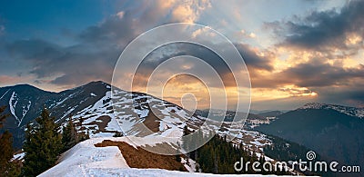 Sunrise stock photo. Image of coniferous, forest, mist - 41895656