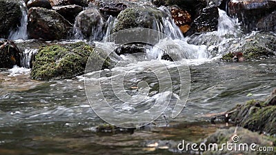 Spring water nature scene stock video footage. Video of spring - 35602256