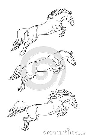 Springendes Pferd vektor abbildung. Illustration von tier - 27463129