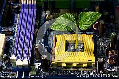 Sprout In Computer Stock Photography - Image: 3656032