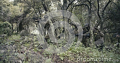 Squad of Fully Armed Commando Soldiers during Combat in a Forest ...