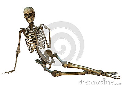 Squelette Humain Photos stock - Image: 37934853