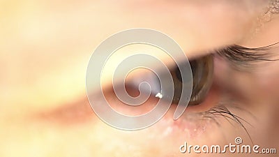 Squinting Eye Close Up Problems with Sight Ophthalmology Details Stock ...