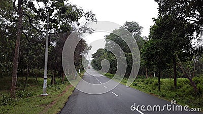 Srisailam Forest View, Andhra Pradesh, India Royalty-Free Stock Photo ...