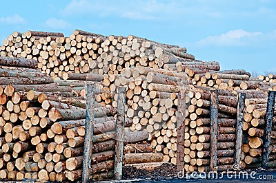 Stacks of lumber - Stock Image - Everypixel