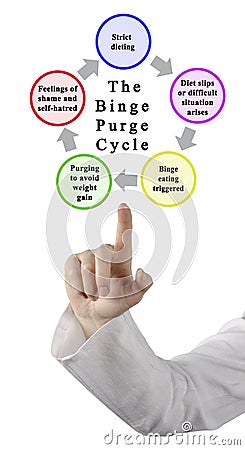 Binge Purge Cycle Royalty-Free Stock Photo | CartoonDealer.com #212202783