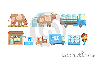 Stages Of Milk Production Vector Illustrated Set | CartoonDealer.com ...