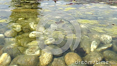 Stagnant Water in the Fountain Stock Footage - Video of rock, surface ...