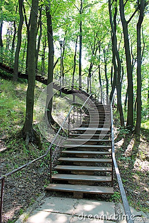 Stairs In The Park With Big Trees Royalty-Free Stock Photography ...