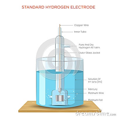 Standard Hydrogen Electrode (SHE) Reference Electrode For Measuring ...
