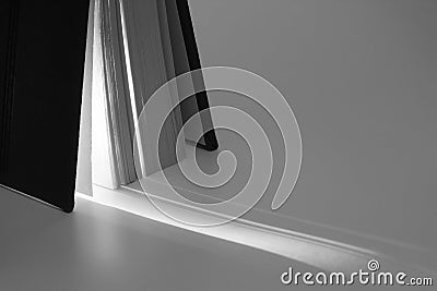 Standing Ajar At The End Of The Book With Proceeds From Her Light Stock ...