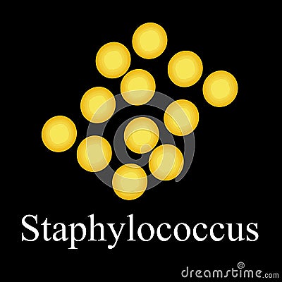 Staphylococcus Aureus. Bacteria Staphylococcus. Infographics. Vector ...