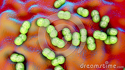 Staphylococcus Epidermidis Bacteria Stock Video - Video of cocci ...