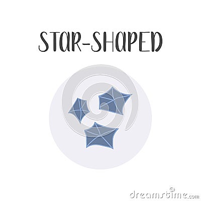 Star-shaped Bacteria. Bacteria Classification. Irregular Shapes Of ...