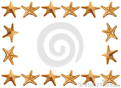 Starfish Frame Royalty-Free Stock Photography | CartoonDealer.com #5352803