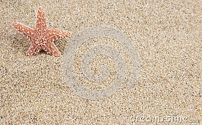 Starfish Sand Background Royalty Free Stock Image - Image: 18581976