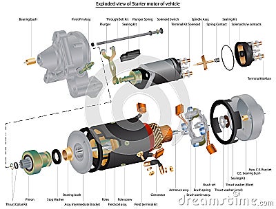 Vector Illustration Of Exploded View Of Bendix Starter | CartoonDealer ...