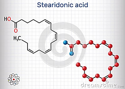 Stearidonic Acid, Moroctic Acid, SDA Molecule. Structural Chemical ...