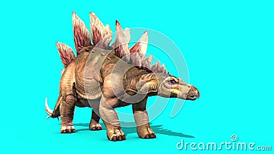 Stegosaurus Dinosaurs Blue Screen 3D Rendering Animation Stock Video ...