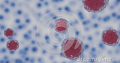 Cells Divide Under Microscope. Mitosis Process of Cell Division Stock ...